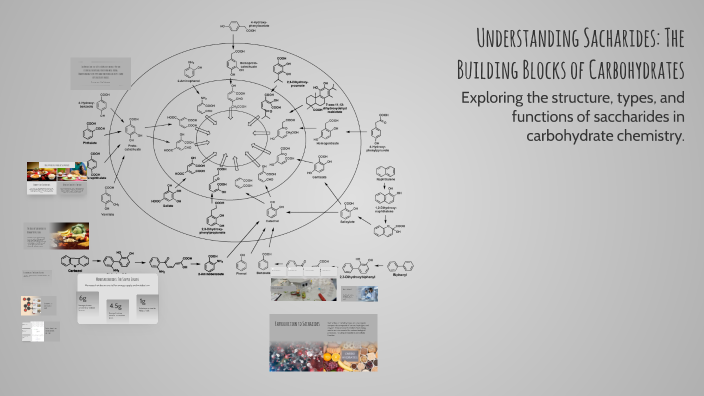 Understanding Sacharides: The Building Blocks of Carbohydrates by Hana ...