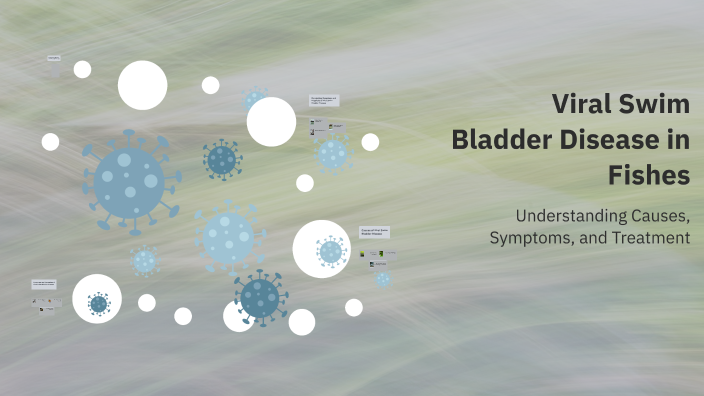 Viral Swim Bladder Disease in Fishes by Yiğit Emir on Prezi