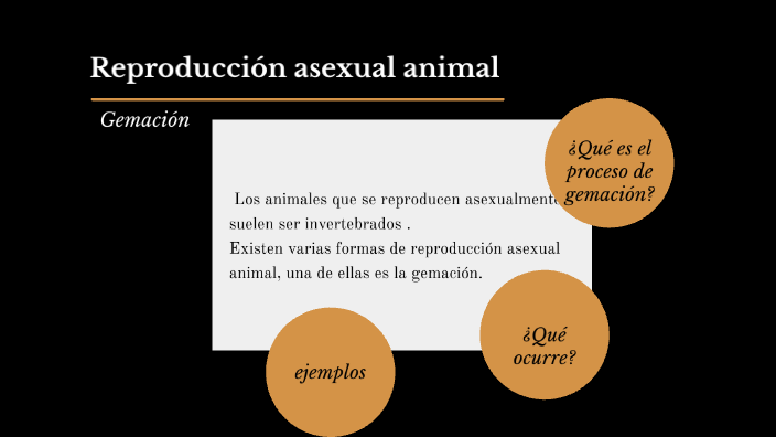 Reproducción animal asexual-Gemación by merce corrente on Prezi