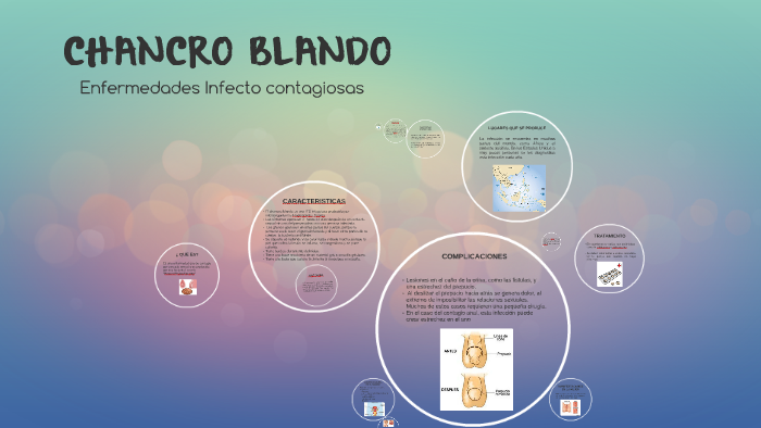 Qu Es El Chancro Blando O Chancroide Vacunas Para Viajar