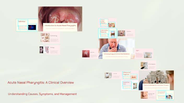 Acute Nasal Pharyngitis: A Clinical Overview by Jasus king on Prezi