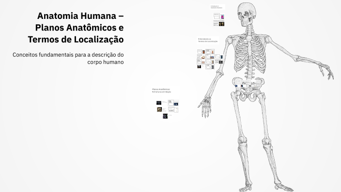 Anatomia Humana – Planos Anatômicos e Termos de Localização by antonio ...