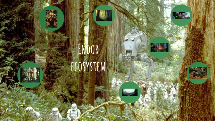 Endor Ecosystem by Sarah Heffner on Prezi