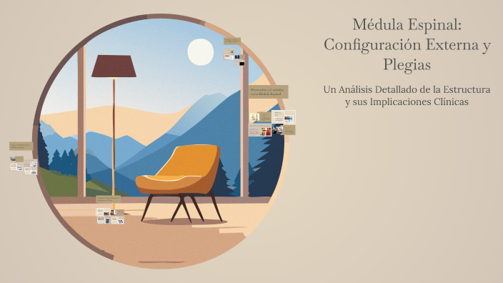 Médula Espinal: Configuración Externa y Plegias by Elizabeth Juarez on ...