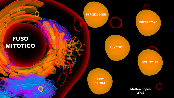 FUSO MITOTICO by Matteo Lopes on Prezi