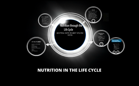Nutrition in the Life Cycle by Priscilla Martin on Prezi