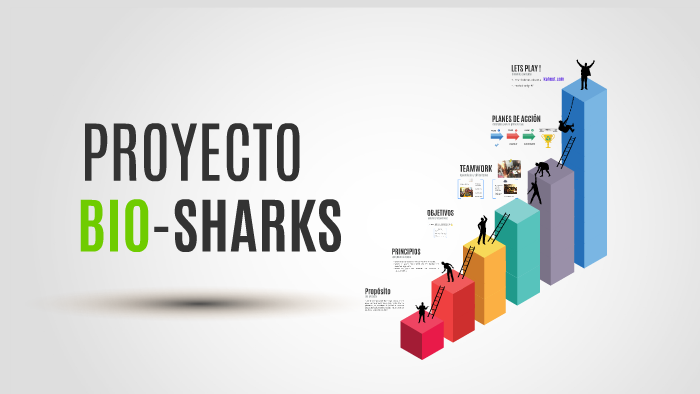 PROYECTO BIO-SHARKS by Diego Pezúa