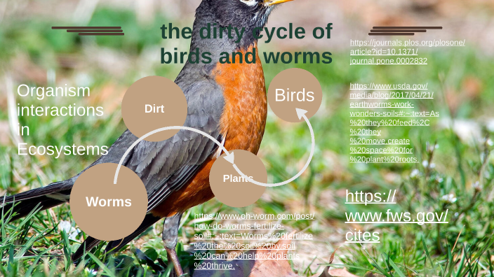 Hayden Erickson period1 by Hayden Erickson on Prezi