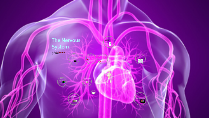 The Nervous System by nicole chiaramonte