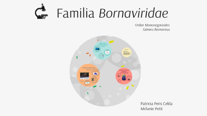 Familia Bornaviridae by Mélanie Petit on Prezi