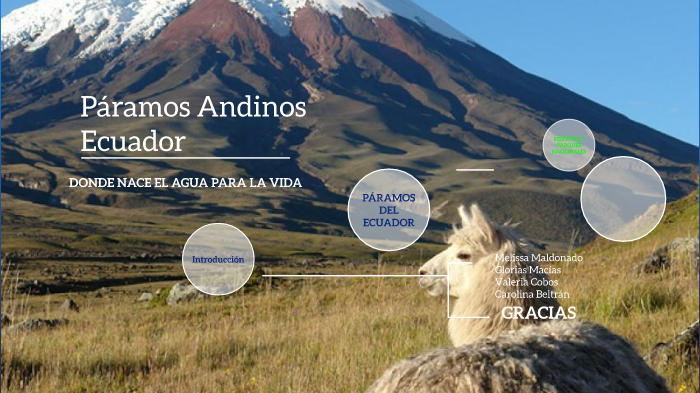 Páramos Andinos del Ecuador by melissa maldonado on Prezi