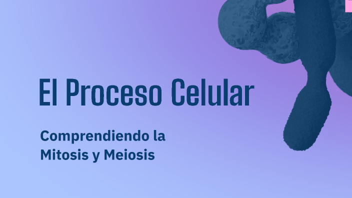 Proceso de División Celular by virginia churquina on Prezi