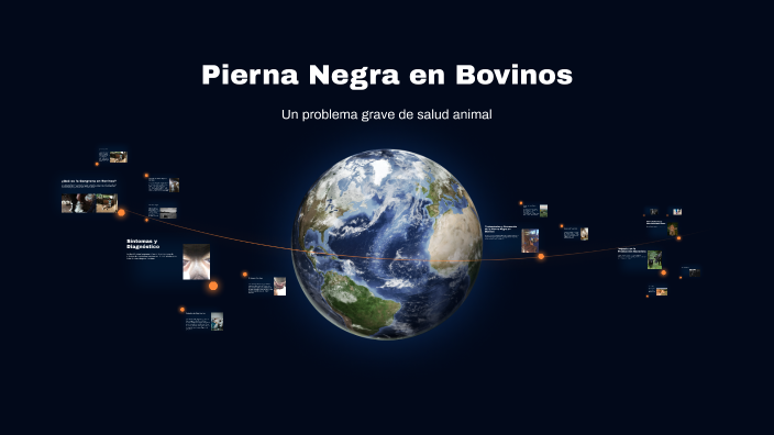 Pierna Negra en Bovinos by Ethell Ayleen Rodriguez on Prezi