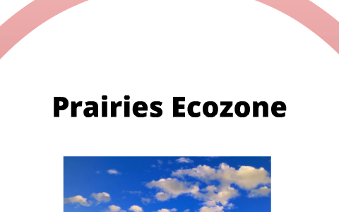 Prairies Ecozone by Haolin Ye on Prezi