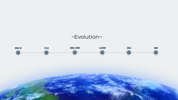 Evolution Timline by Katherine Lawrence on Prezi