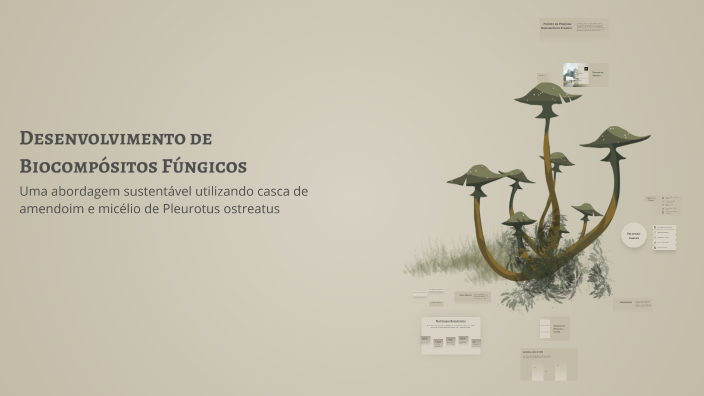 Desenvolvimento de Biocompósitos Fúngicos by Felipe Augusto Dadona ...