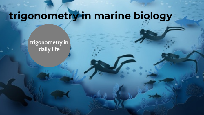 trigonometry in marine biology by Sarah Izzati on Prezi