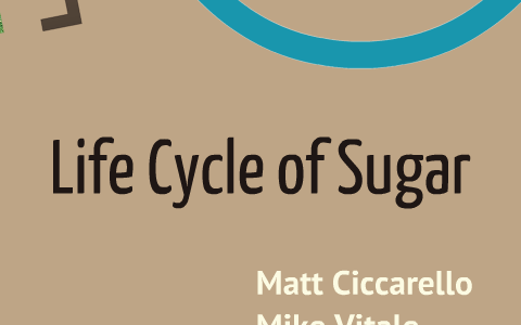 Life Cycle of Sugar by Matthew Ciccarello on Prezi