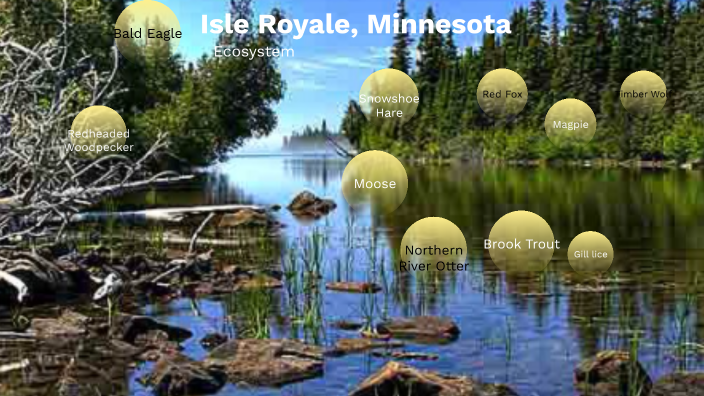 Isle Royale,Minnesota by Jacob Dreessen on Prezi