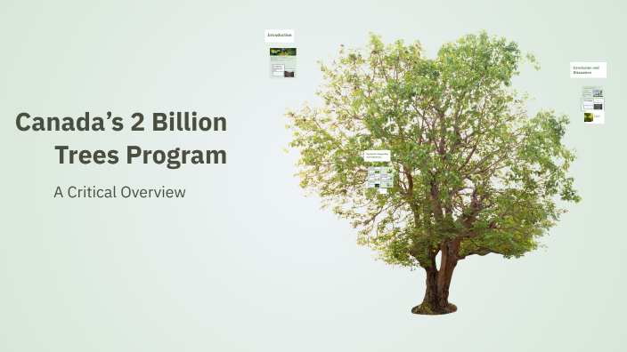 Canada’s 2 Billion Trees Program by Meagan McNichol on Prezi