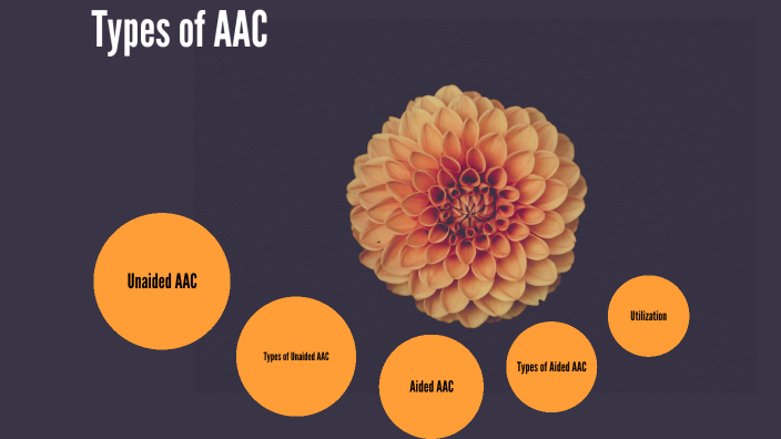 Types of AAC by arielmartay on Prezi