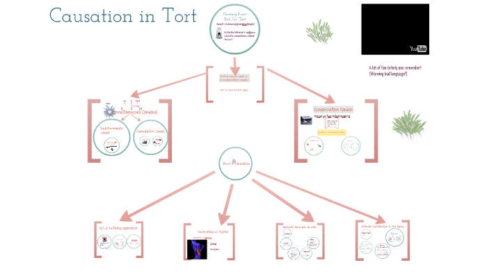 Causation in Tort by Claire Turner on Prezi