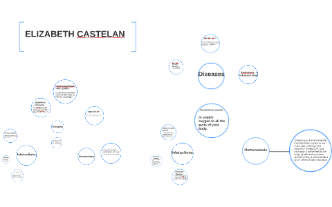 Digestive System by elizabeth castelan