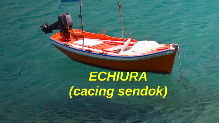 ECHIURA by deto putra on Prezi