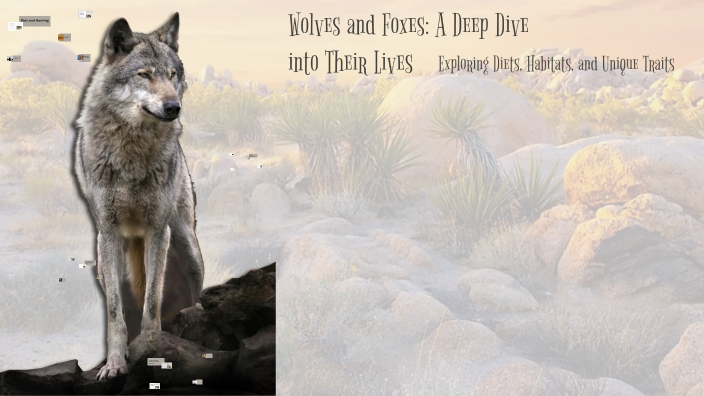 Wolves and Foxes: A Deep Dive into Their Lives by Haven Vine on Prezi