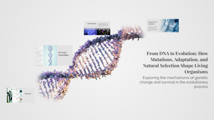 From DNA to Evolution: How Mutations, Adaptation, and Natural Selection ...