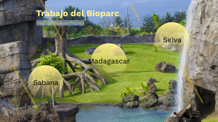 Trabajo del Bioparc by HÉCTOR BUESO FLORES on Prezi