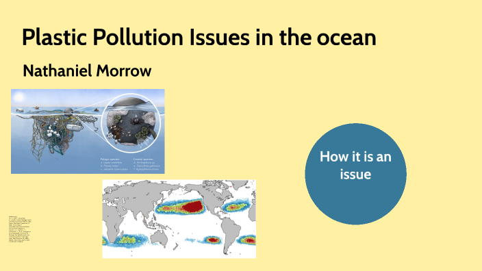 Plastic Pollution by Nathaniel Morrow on Prezi