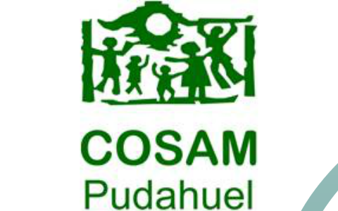 COSAM PUDAHUEL by Natalia Daniela Espectral Roja on Prezi