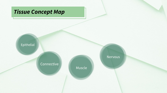 Tissue Concept Map by Sara Monroy on Prezi