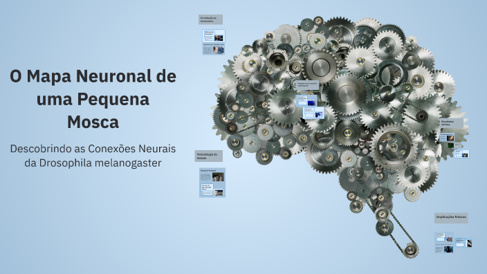 O Mapa Neuronal de uma Pequena Mosca by HENRIQUE FERREIRA BARREIRA on Prezi