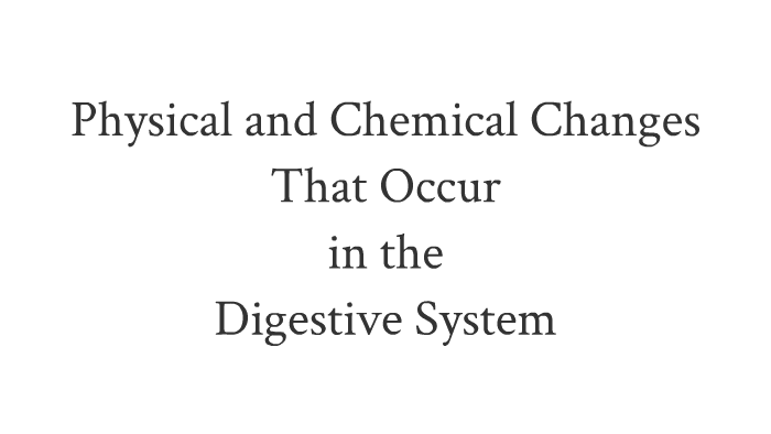 Physical and Chemical Changes in the Digestion System by Jennifer ...