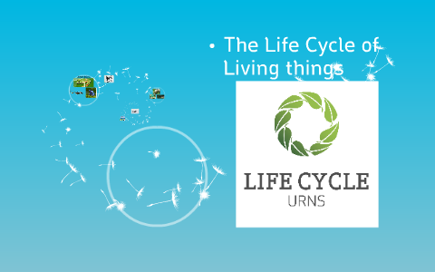The Life Cycle of Living things by 강 태훈 on Prezi