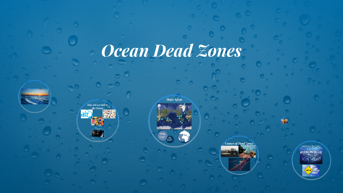 Ocean Dead Zones by Jessica Orozco on Prezi