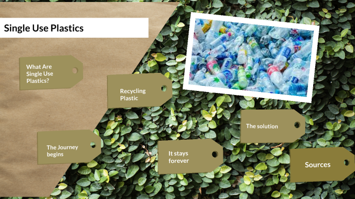 Single-Use Plastics PSA by Luke Rietema on Prezi