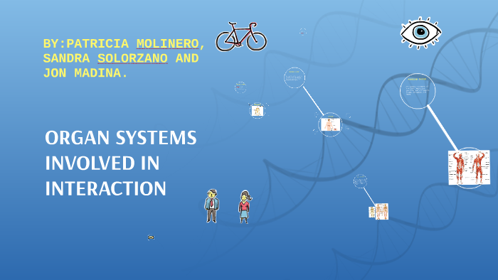 ORGAN SYSTEMS INVOLVED IN INTERACTION by patritxux moli on Prezi