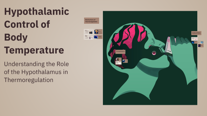Hypothalamic Control of Body Temperature by Haroon Gohar on Prezi