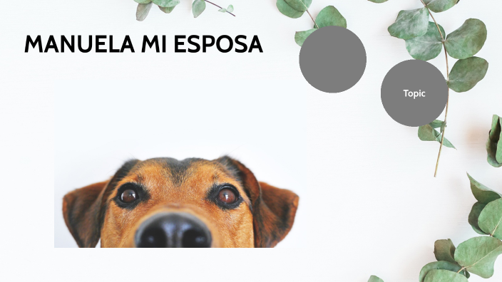 herauca by MARIA ANTONIA SIERRA BENAVIDES on Prezi