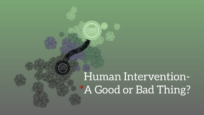 Human Intervention-A Good or Bad Thing? by Holly MacDonald on Prezi