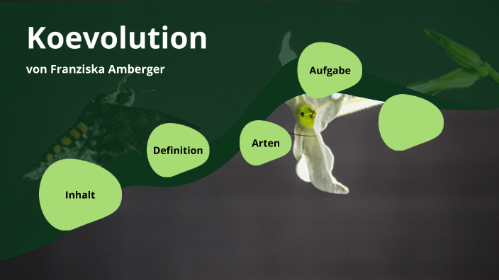Koevolution by Franziska Amberger on Prezi