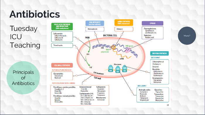 ICU Antibiotics 2 by James Boyle on Prezi