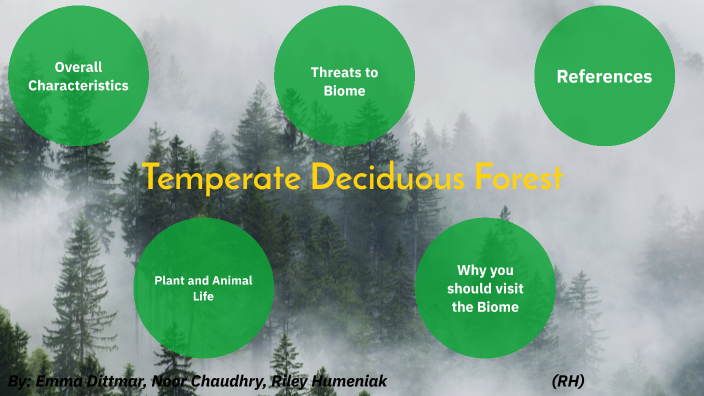 Temperate Deciduous Forest by emma dittmar on Prezi