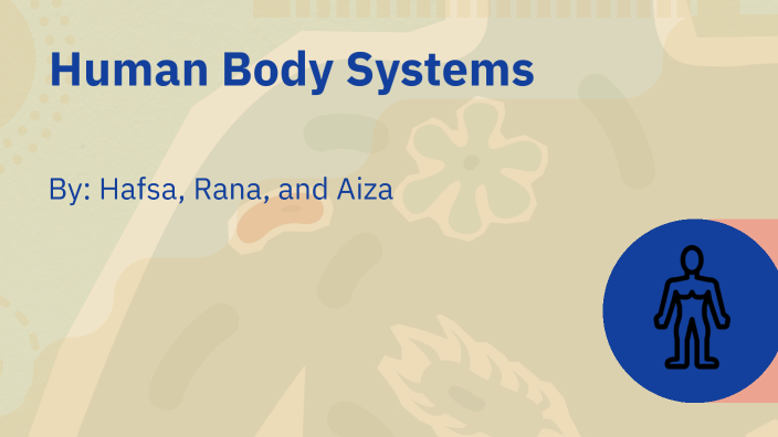 Human Body by Aiza Fasih on Prezi