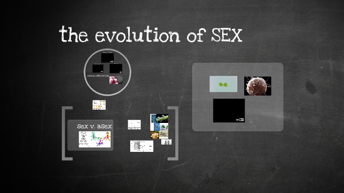 The Evolution Of Sex By Jennifer Dever On Prezi