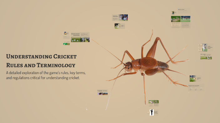 Understanding Cricket Rules and Terminology by Abhinav Jain on Prezi