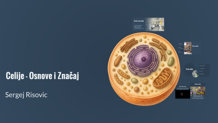 Celije - Osnove i Značaj by Sergej Risovic on Prezi
